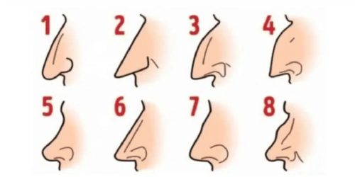 La forme de votre nez en dit long sur l’image que vous renvoyez sans le ...